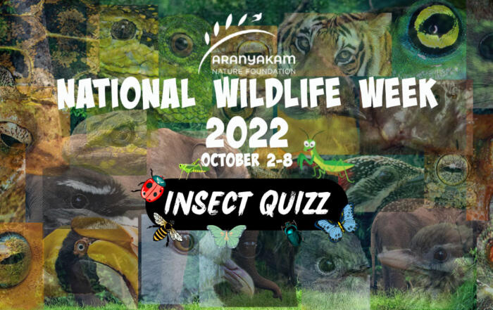 National Wildlife Week 2022 - Importance and activities - Aranyakam ...